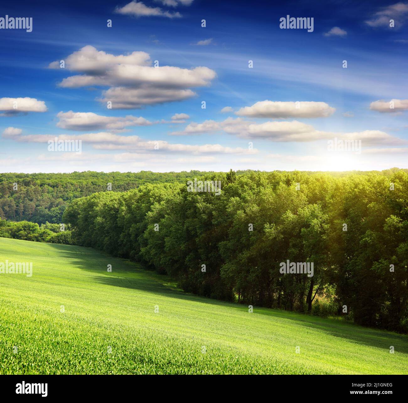 Sky summer sunlight hi-res stock photography and images - Alamy