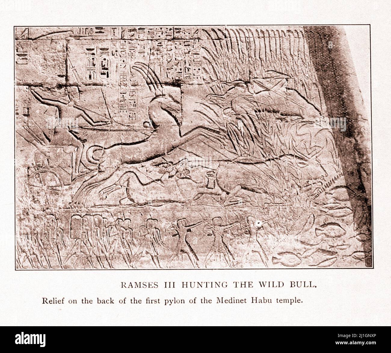 Ancient Egypt. The New Kingdom (1549–1069 BC). Illustration of 1912 ...