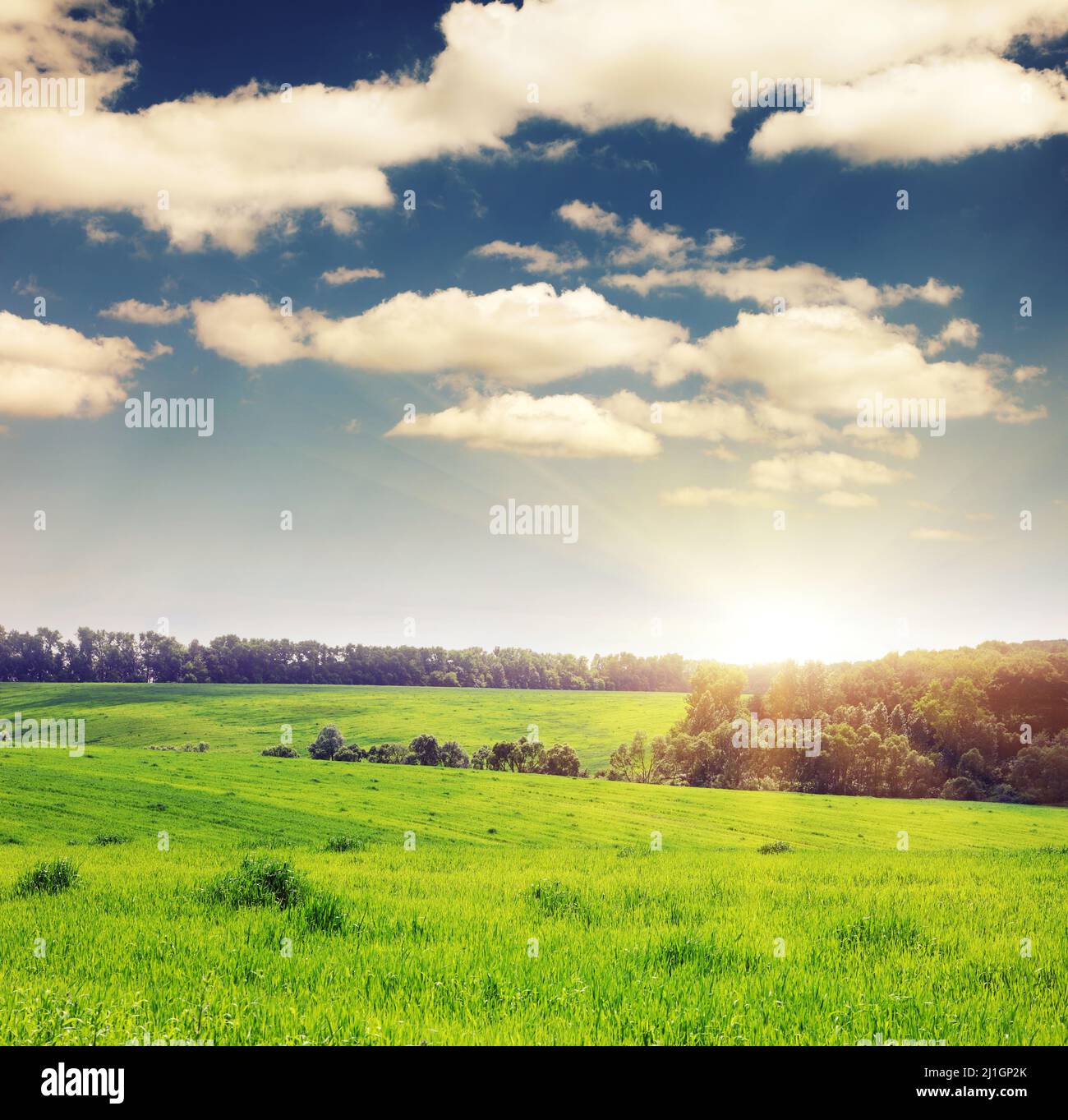 Majestic landscape in the field under daybreak with sunbeams Stock ...