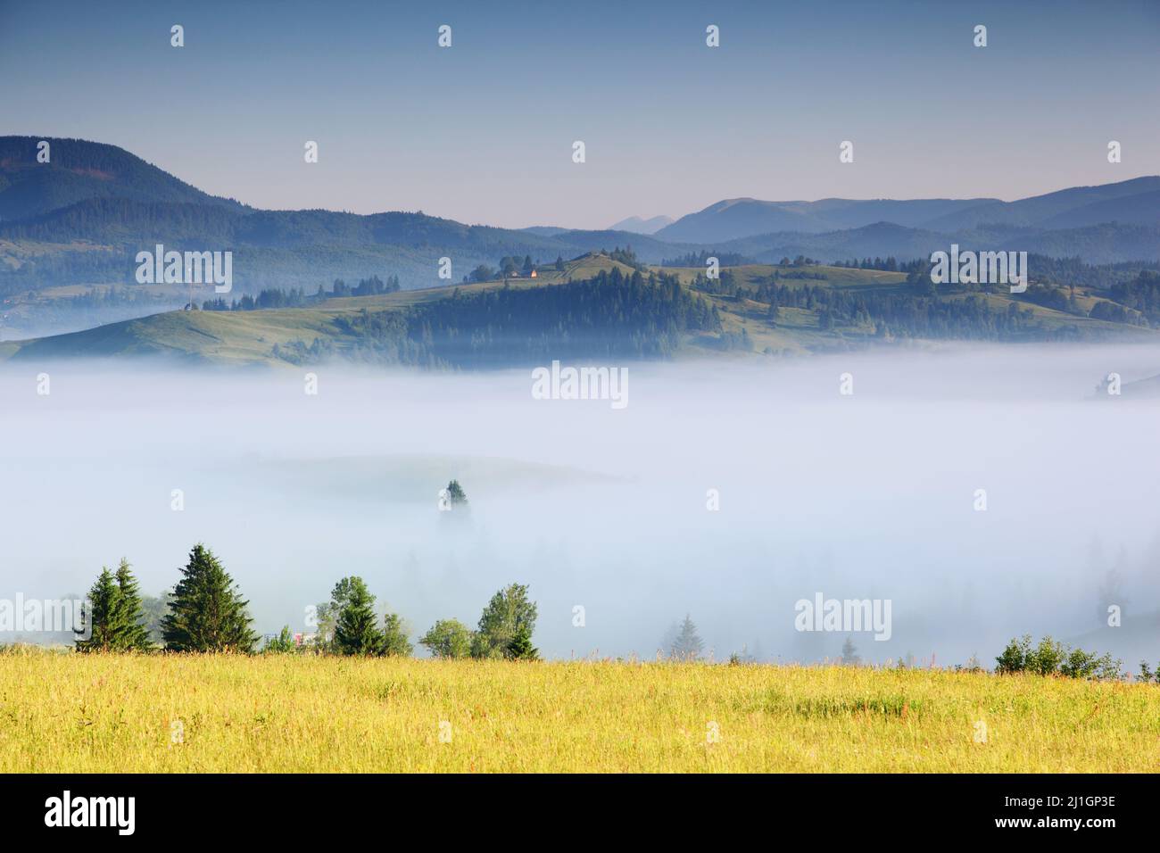 Beautiful summer carpathian mountain country view ukraine hi-res stock ...