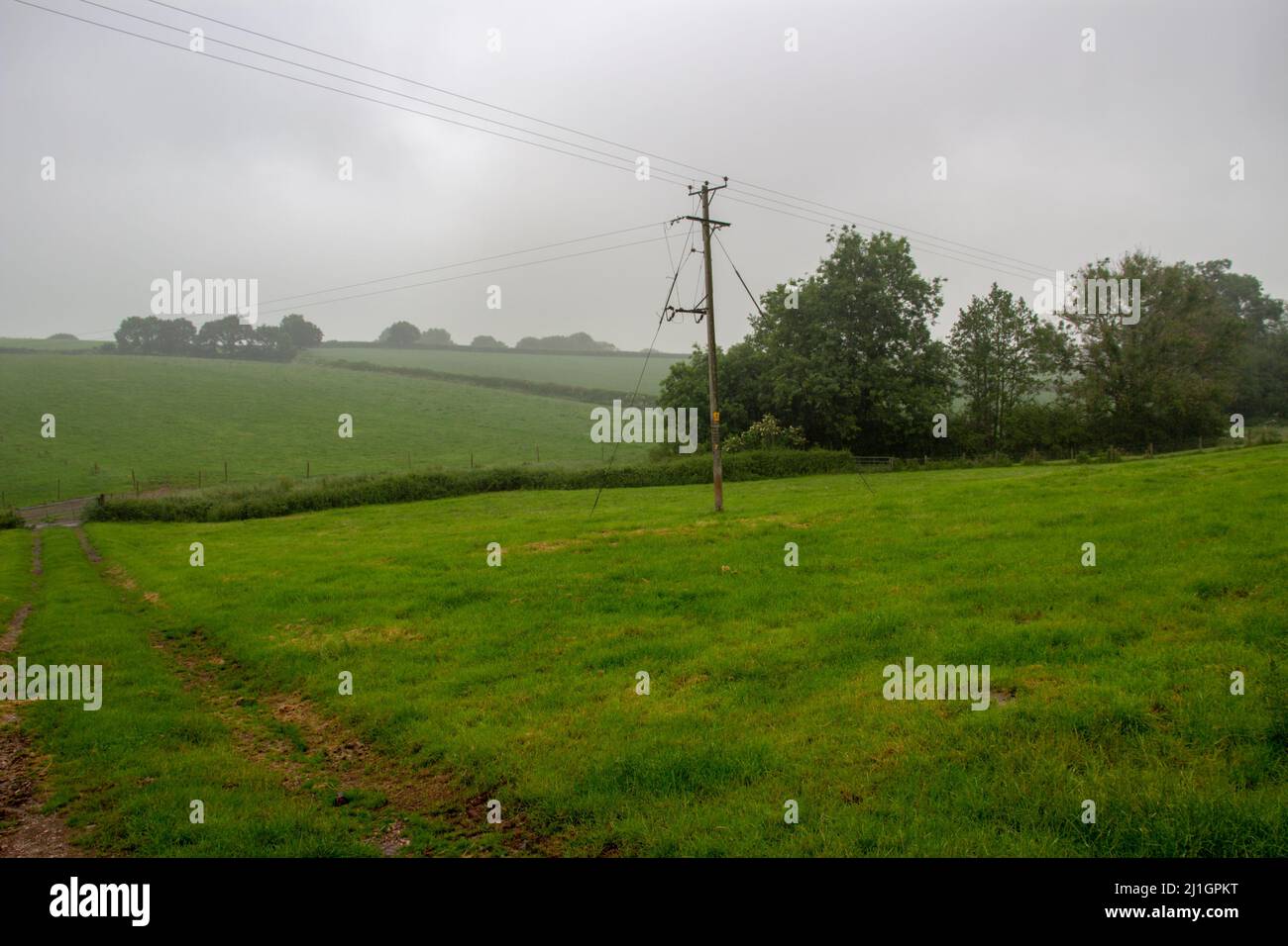 bucolic Devon countryside of green fields for hay and a cloudy blue sky ...