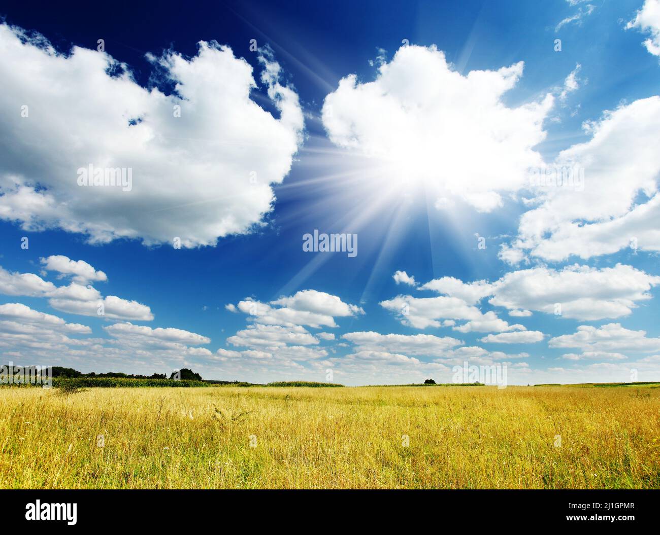 Beautiful spring field with a green grass and the beautiful sky Stock ...