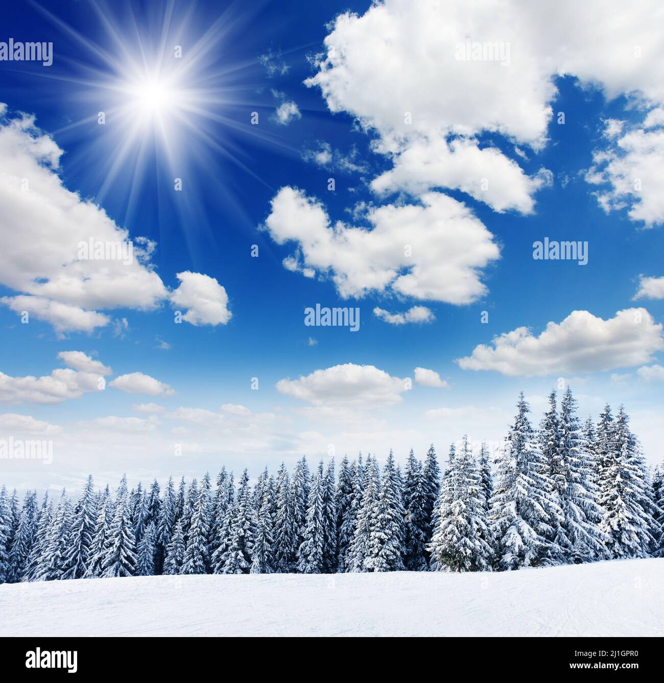 Beautiful winter landscape with snow covered trees Stock Photo - Alamy