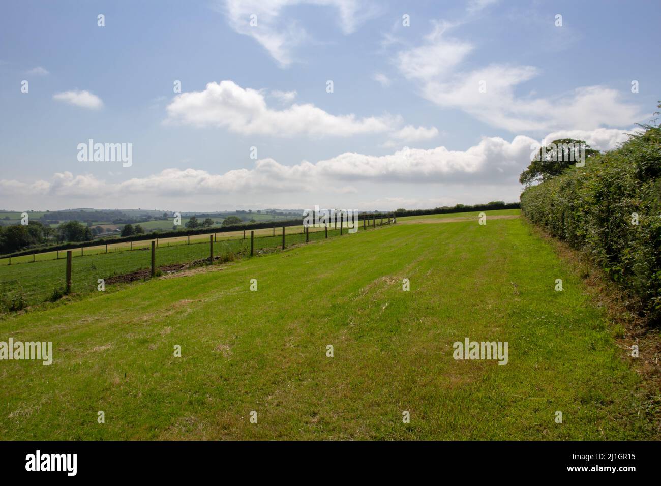 Devon fields with a pale blue sky with white clouds Stock Photo - Alamy