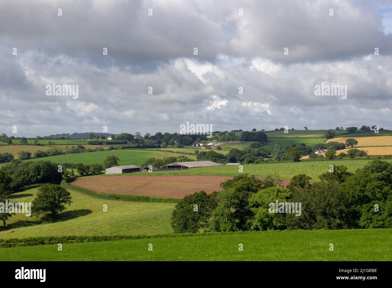 distant Devon rolling hills with green grazing land, hedgerows and ...