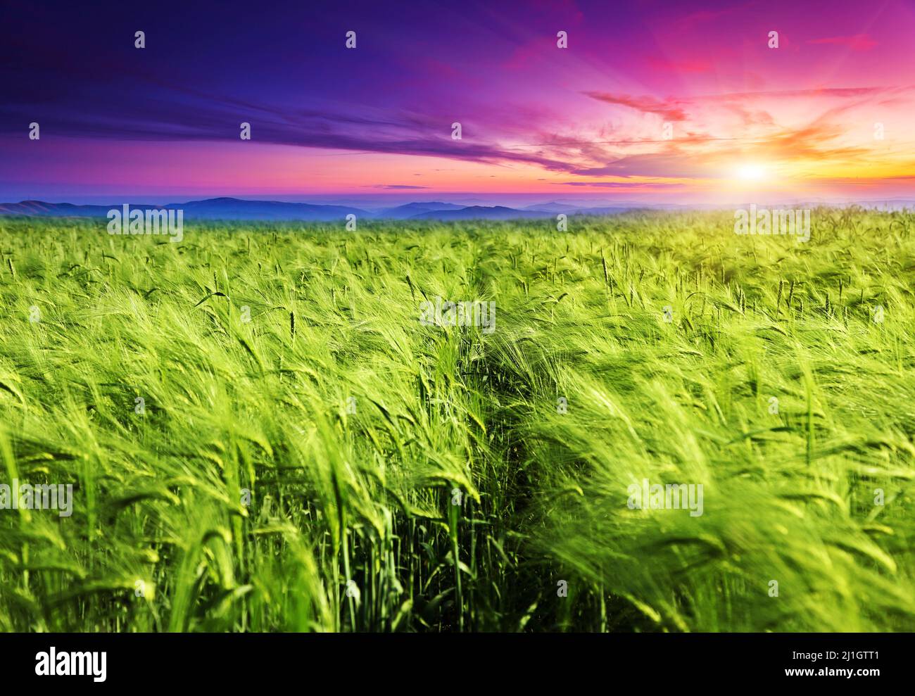 Majestic landscape in the field under daybreak Stock Photo - Alamy
