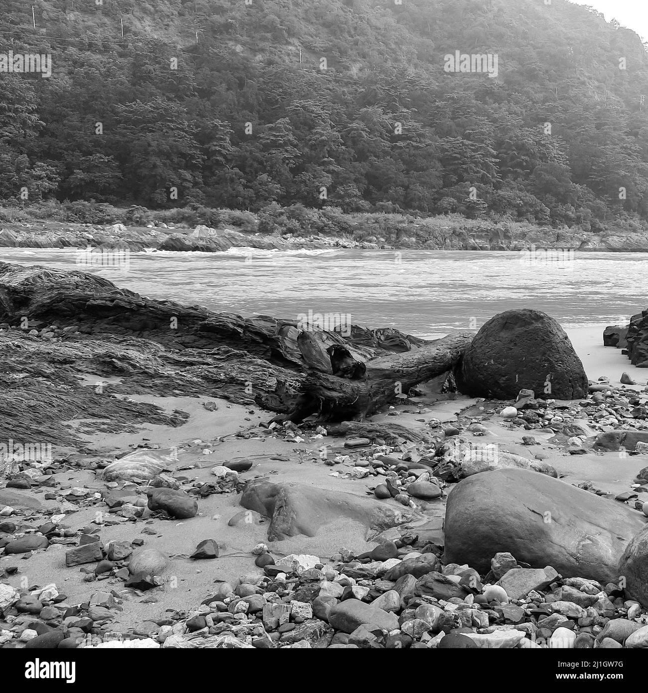 Morning view at GOA beach located in Rishikesh Uttarakhand near Laxman ...