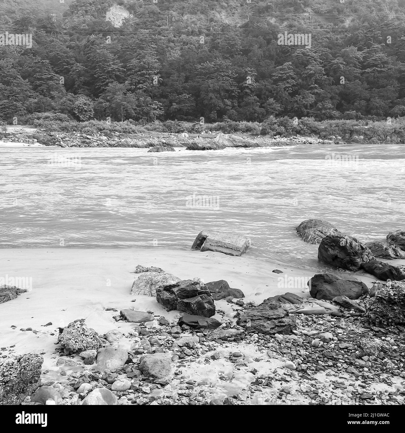 India beach clean Black and White Stock Photos & Images - Alamy