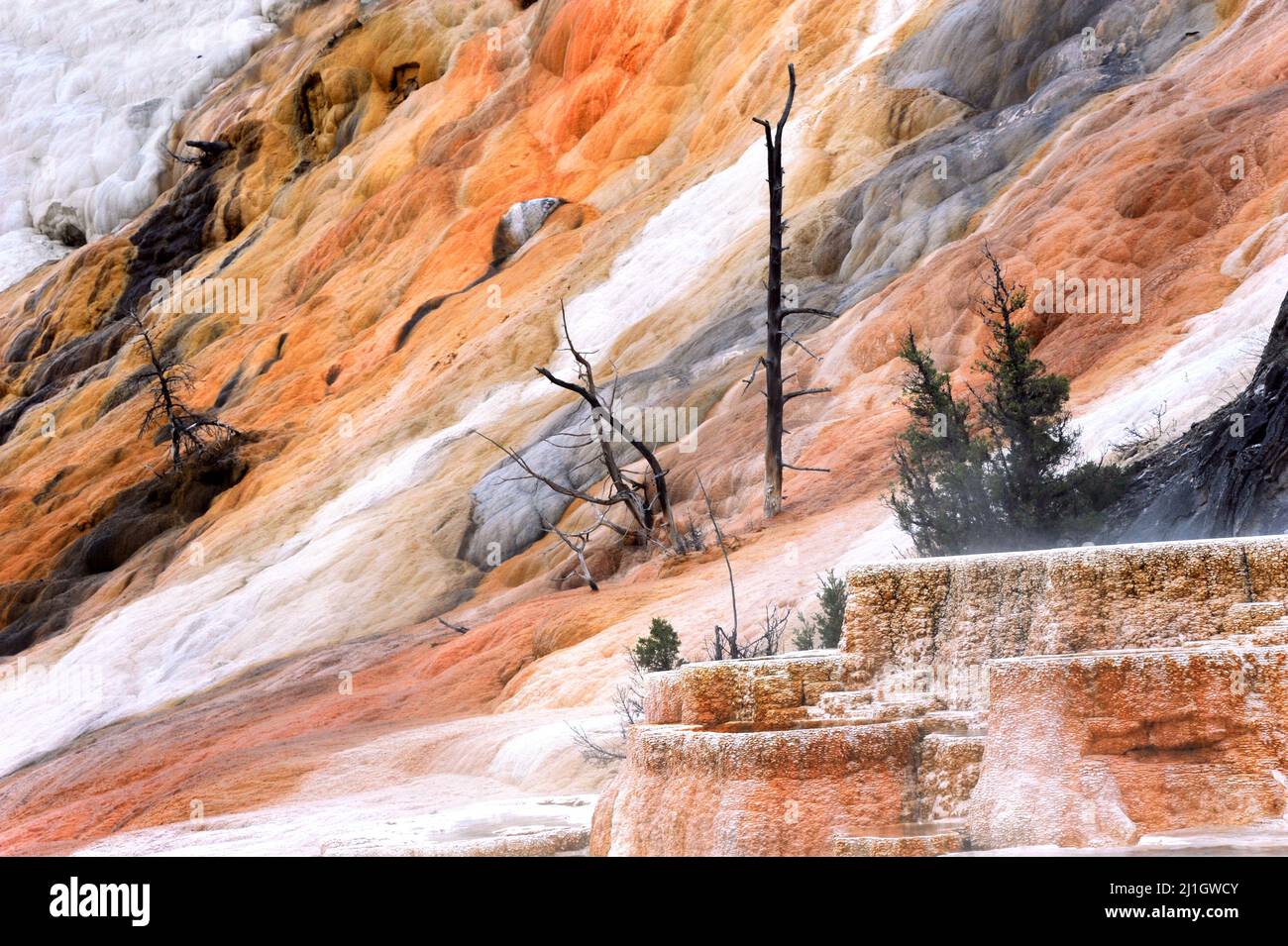 Terraces at Mammoth Hot Springs, in Yellowstone National Park, cascade ...