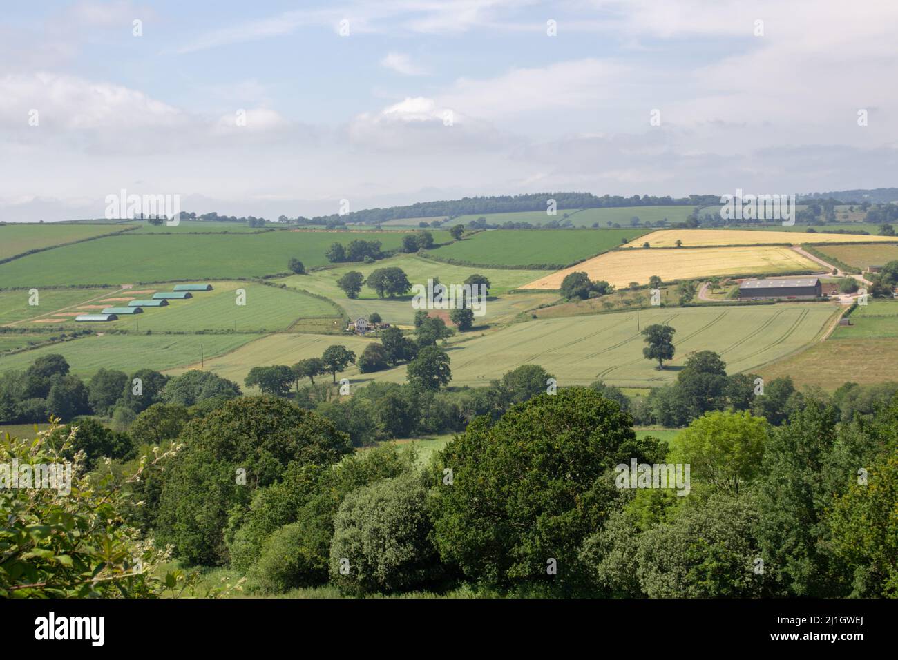 typical Devon rolling countryside with fields, farms, hedges and blue ...