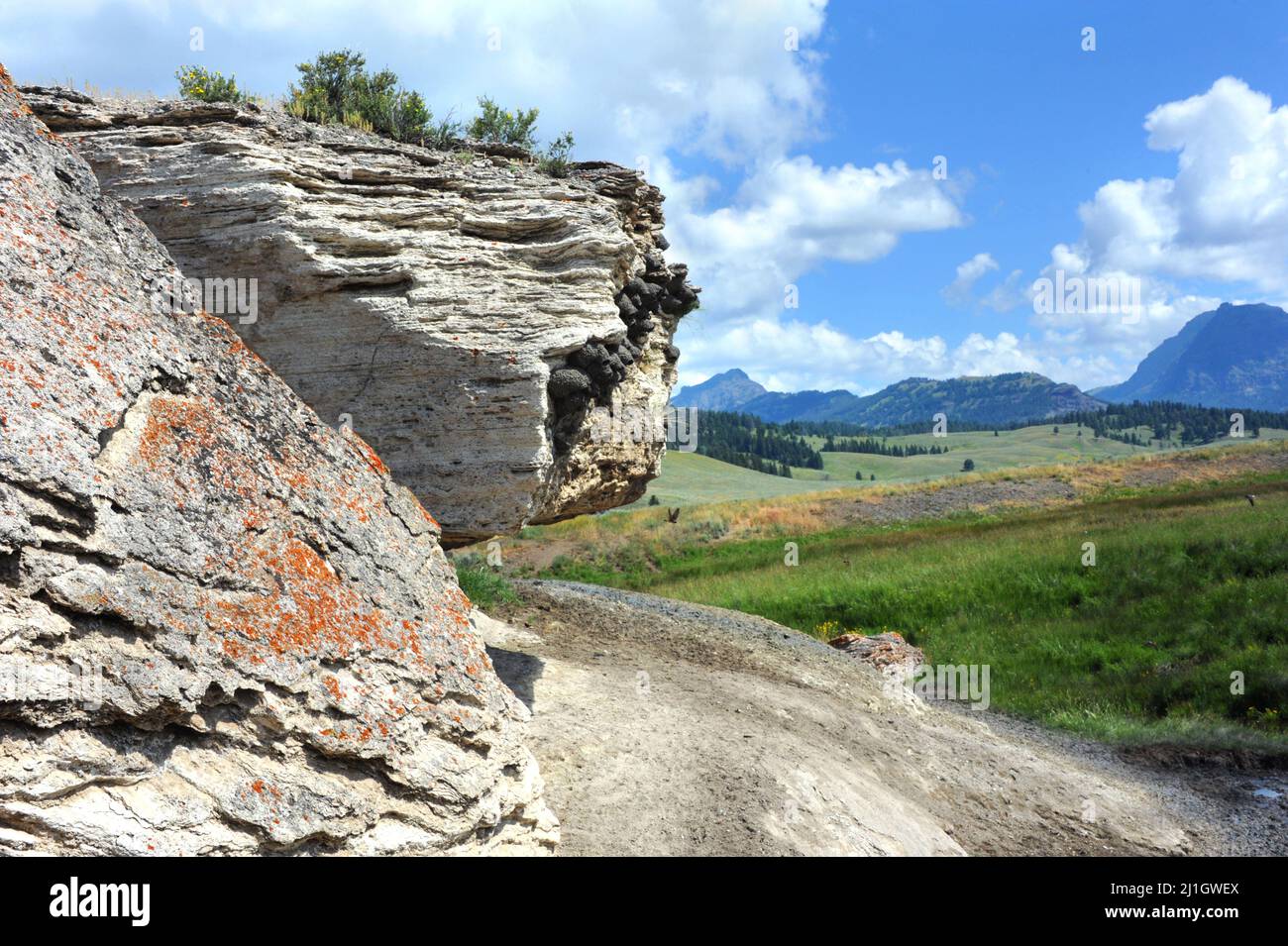 Nested springs hi-res stock photography and images - Alamy