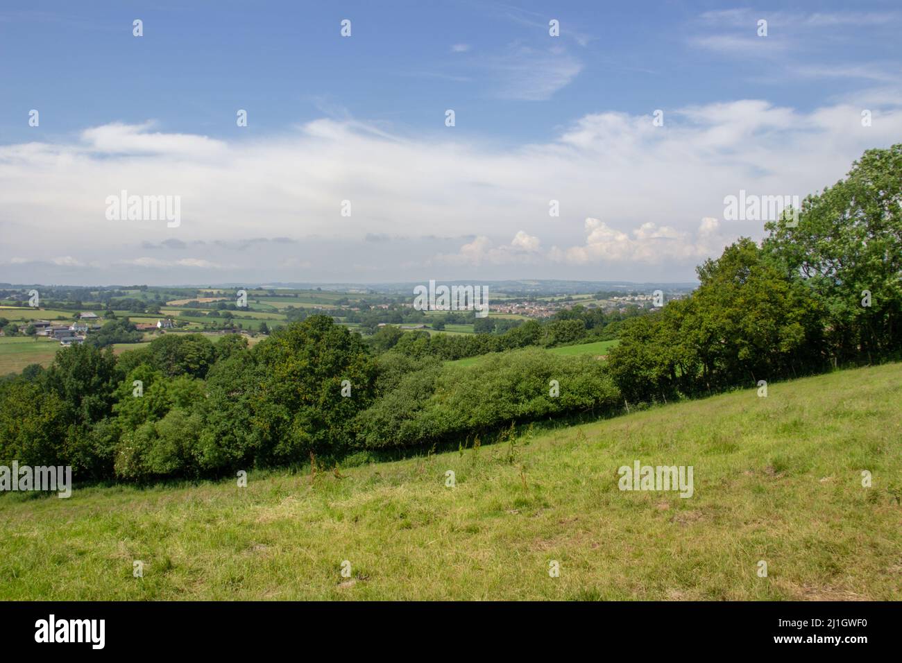 typical Devon rolling countryside with fields, hedges and a cloudy blue ...