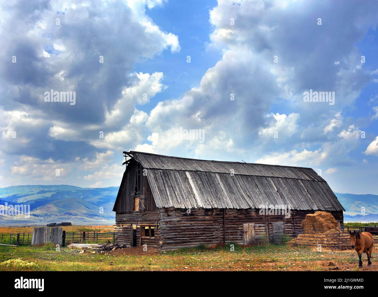 Beautiful landscape image has rustic, log barn, hay and horse set ...