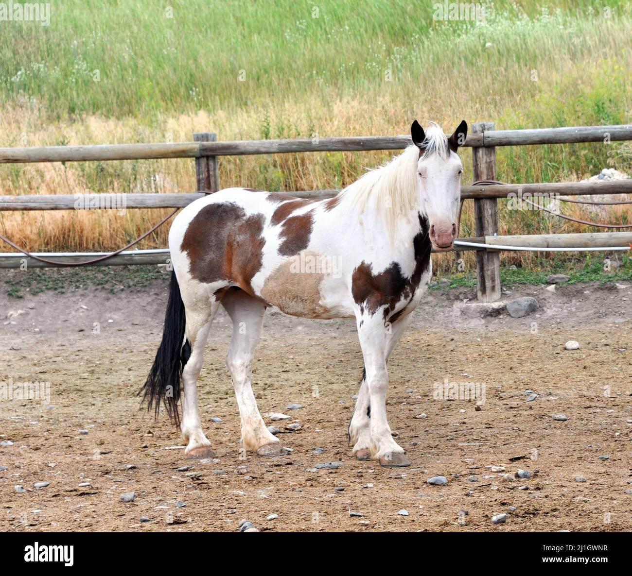Rustic corral hi-res stock photography and images - Alamy