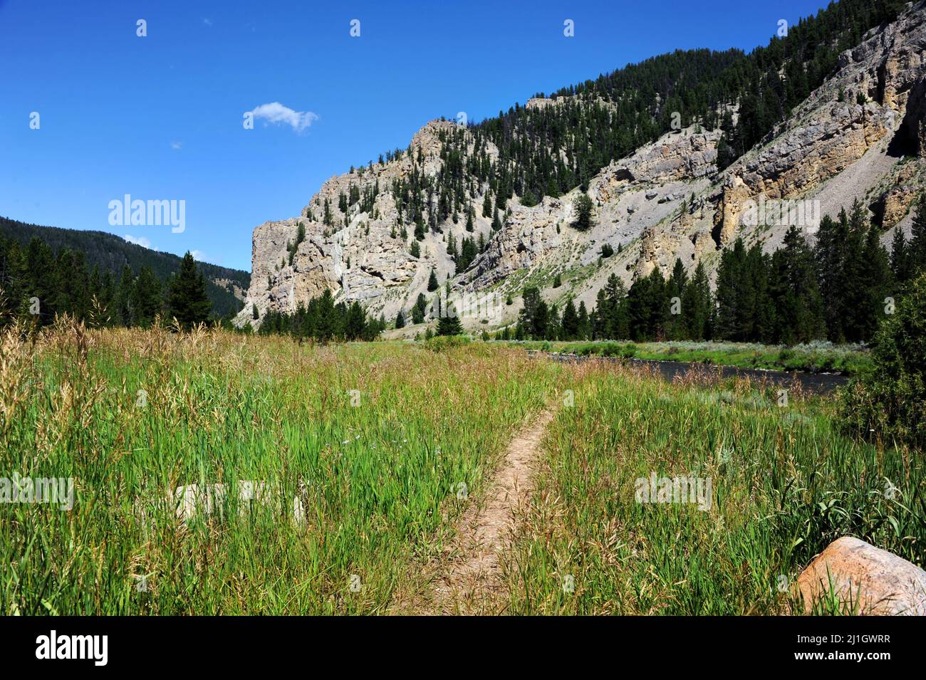 Small path leads to the Gallatin River in the Gallatin Valley in ...