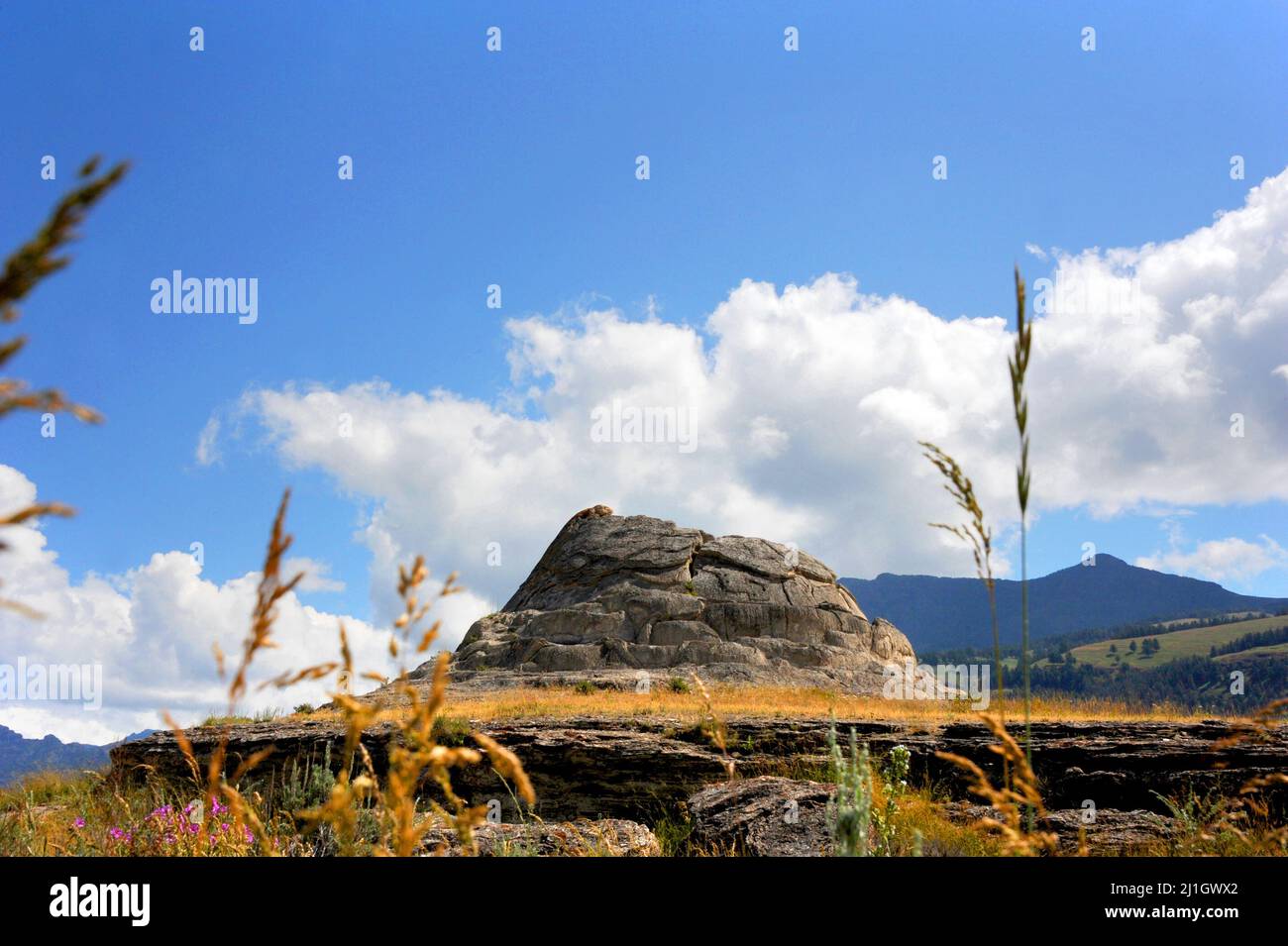Soda Butte, in Yellowstone National Park, sits in Lamar Valley and is ...