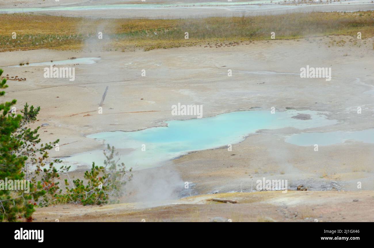 Geothermal steam escapes from Palette Springs in Geyser Basin. Basin is ...