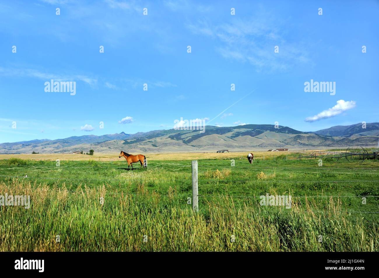 Beautiful farm land with horses and irrigation equipment nestle at the ...