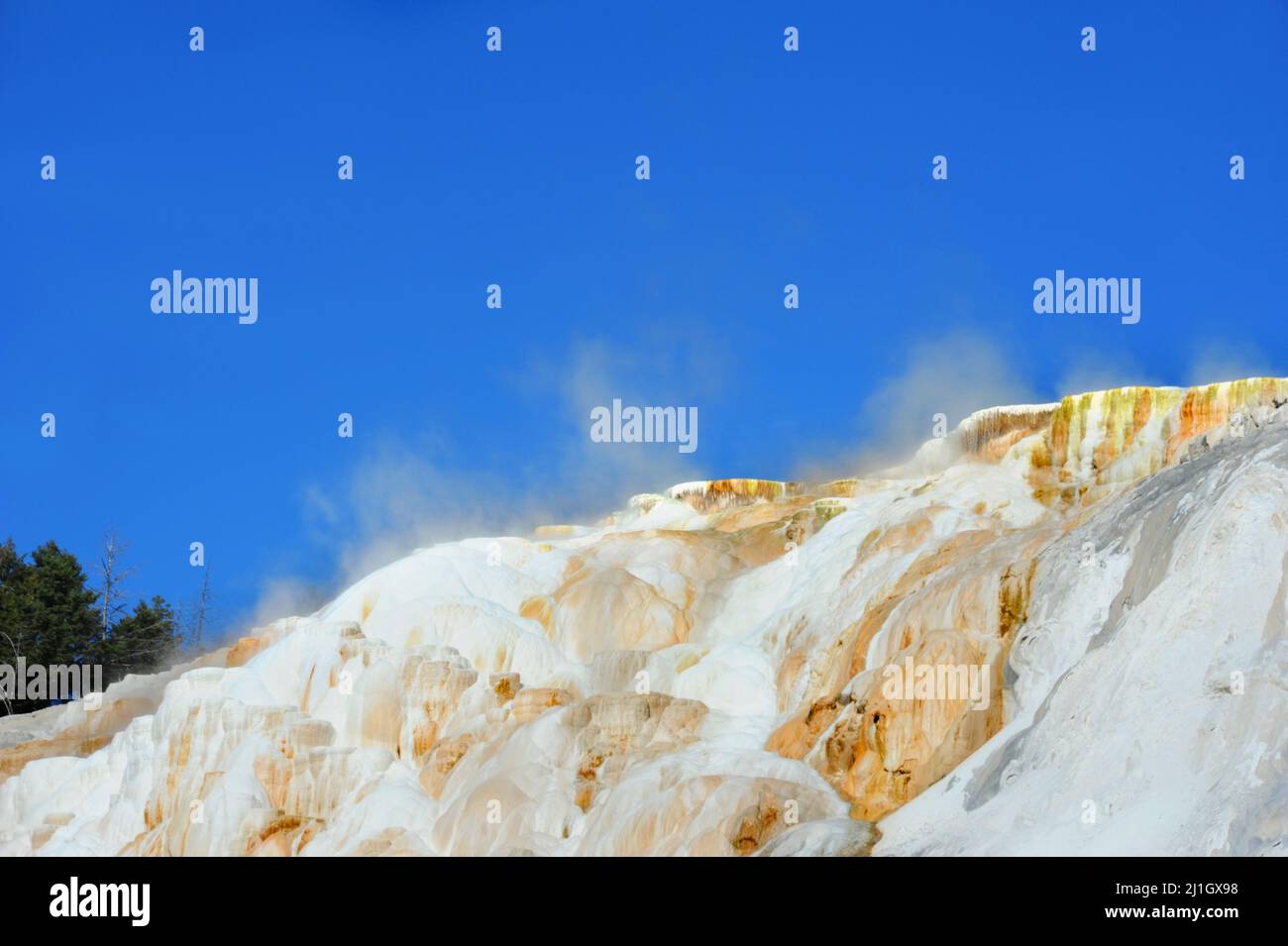 Upper Terrace, of the Mammoth Hot Springs in Yellowstone National Park ...