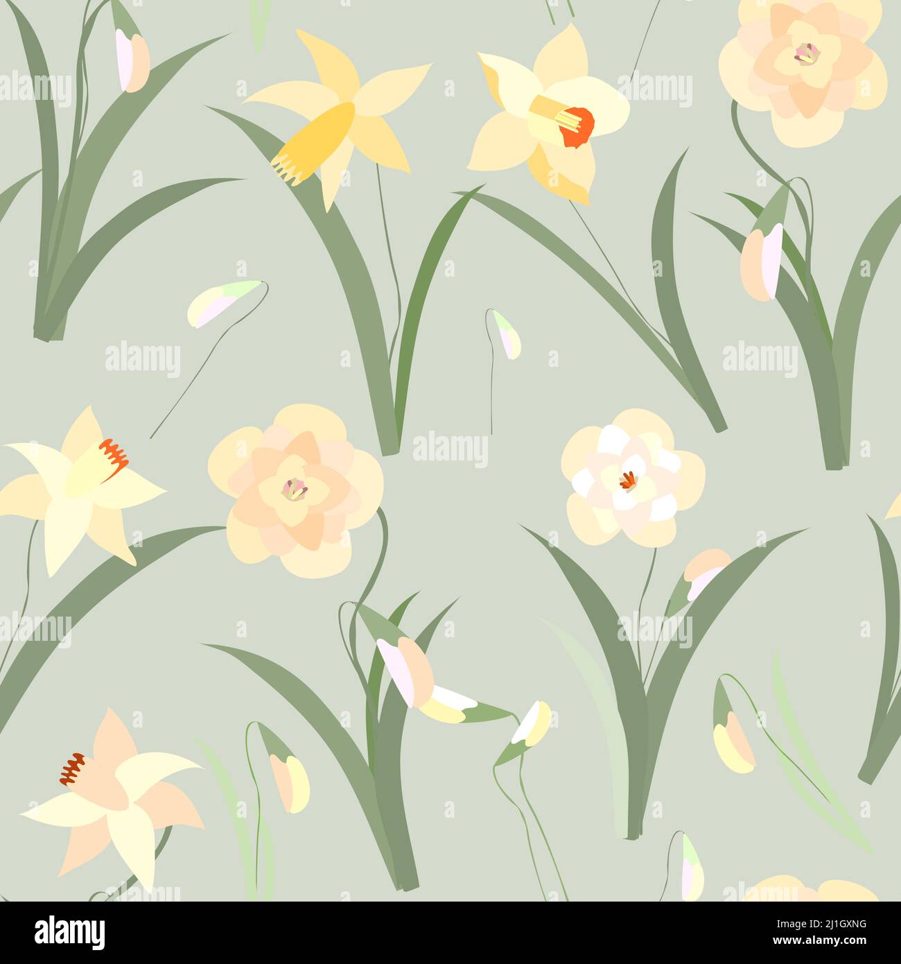Vintage yellow daffodils Stock Vector Images - Alamy