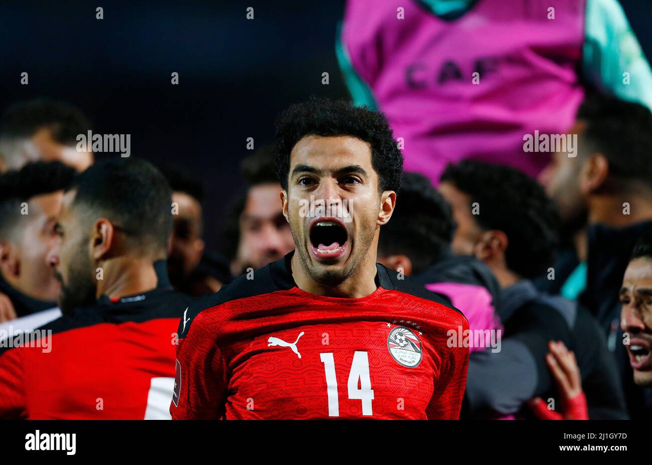World cup qualifiers egypt hi-res stock photography and images - Alamy