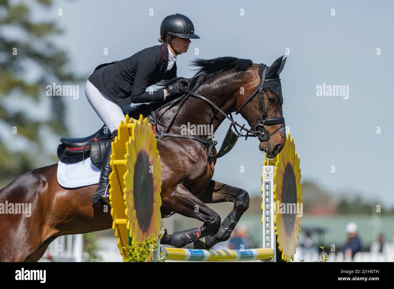 Raeford, North Carolina, USA. 25th Mar, 2022. CAROLINE MARTIN of the ...