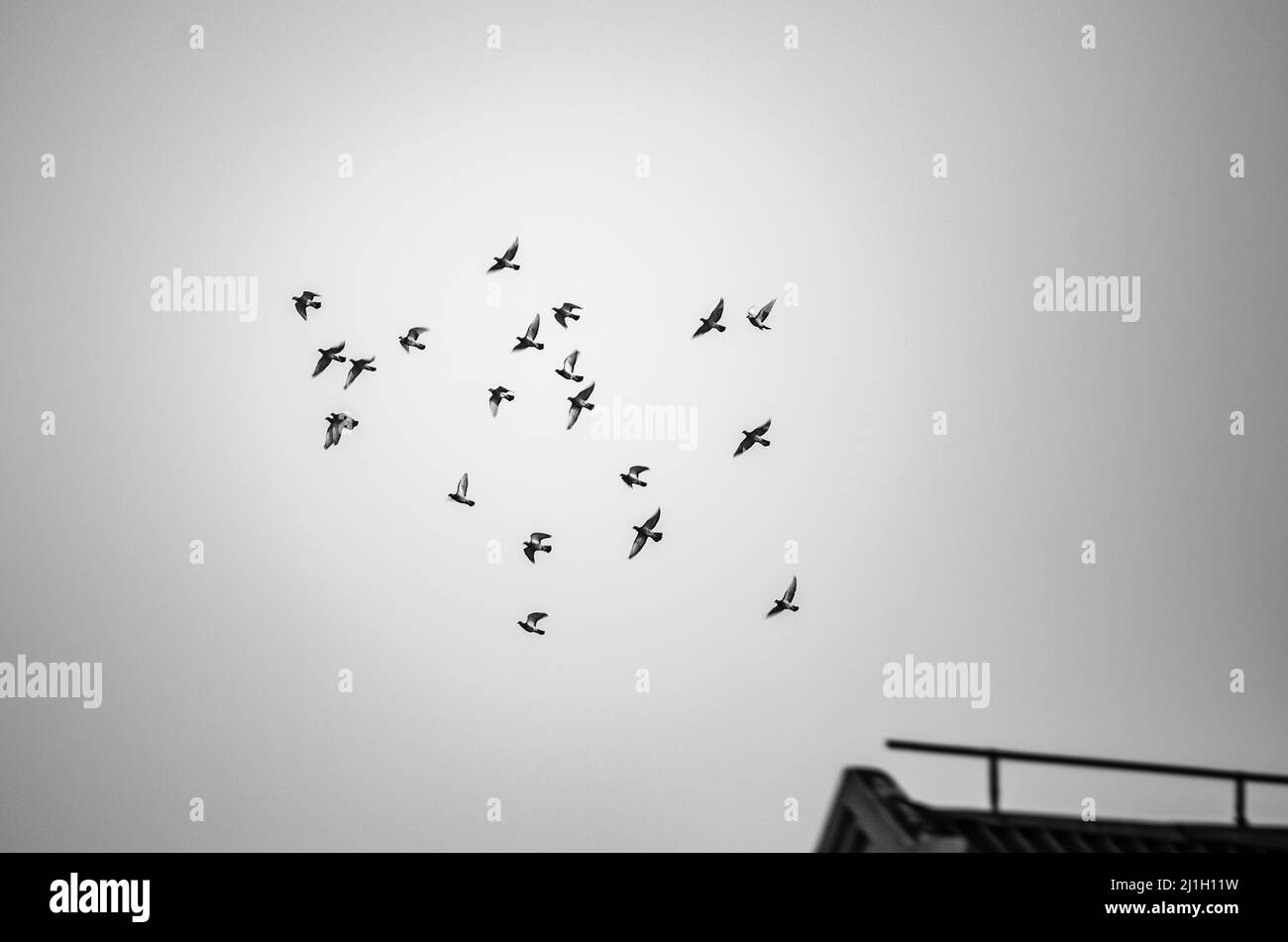 Many horizon Black and White Stock Photos & Images - Alamy
