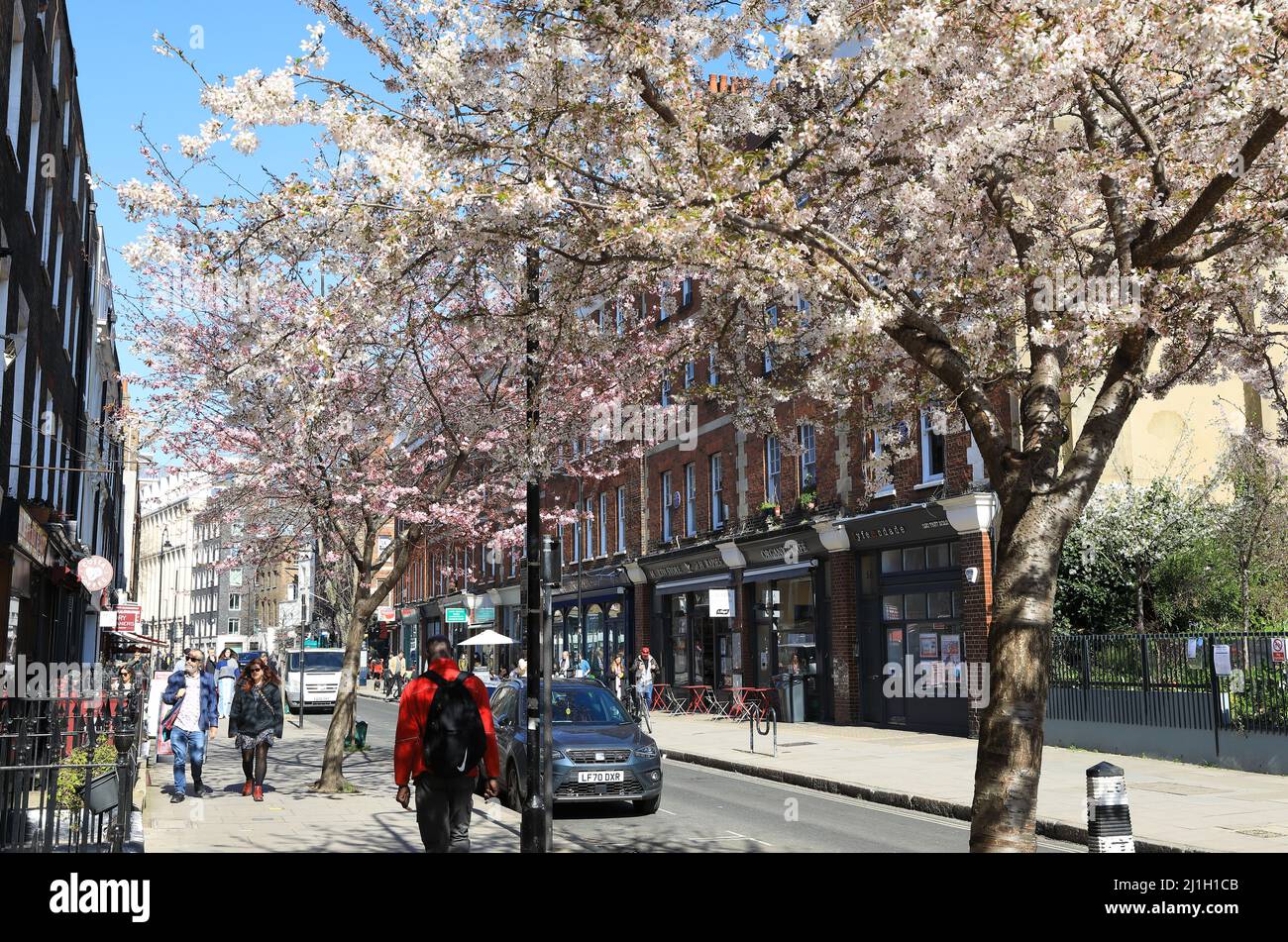 Blossom street uk historical hi-res stock photography and images - Alamy