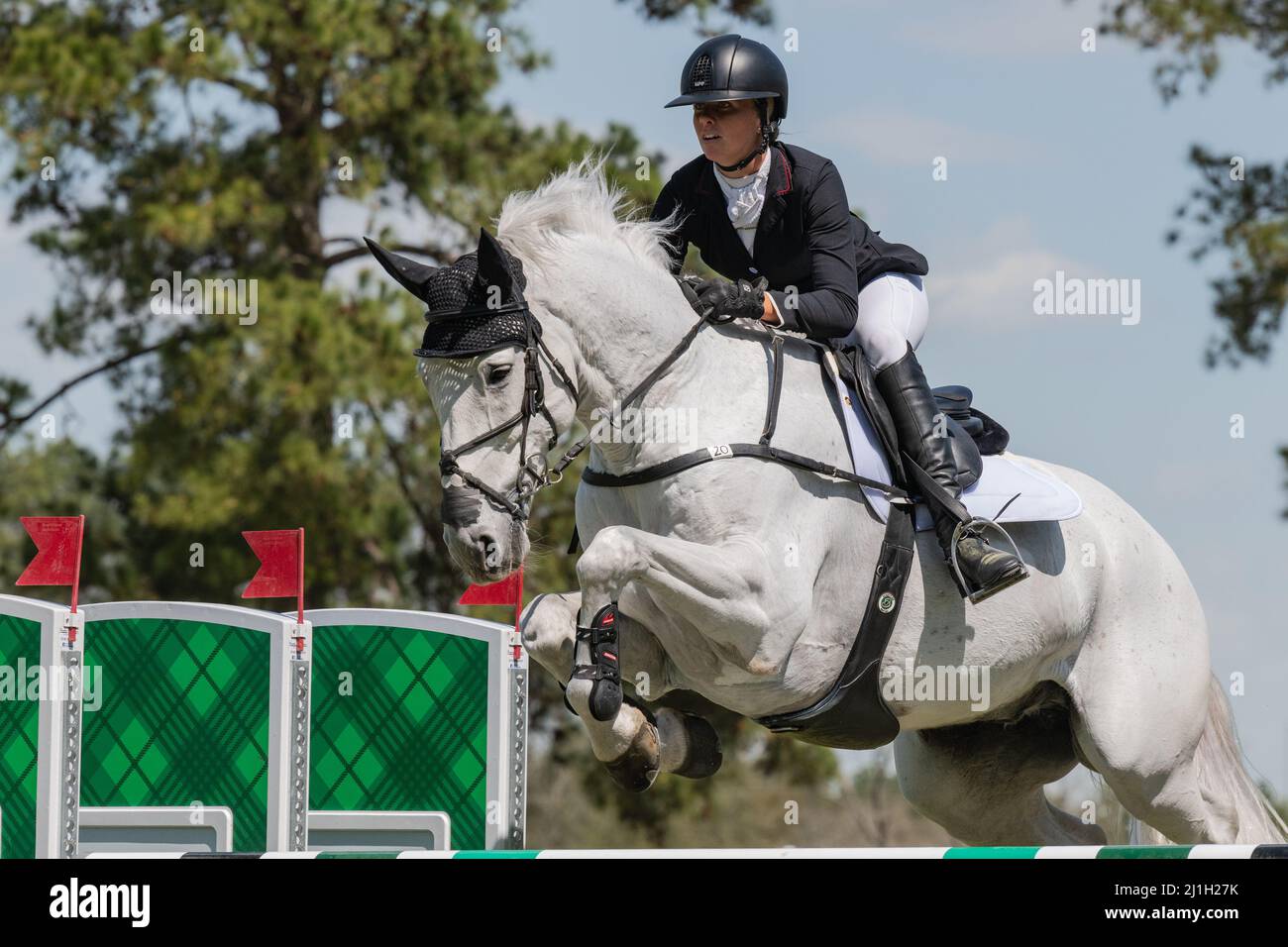 Caroline martin horse hi-res stock photography and images - Alamy