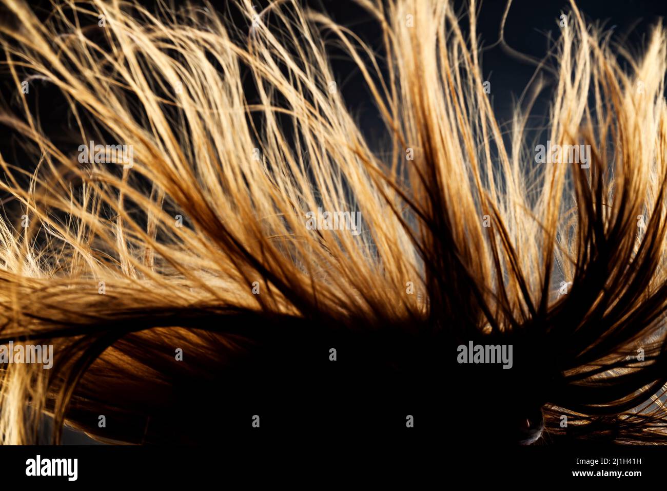 Abstract windy hair texture. Backlit silhouette on dark background ...