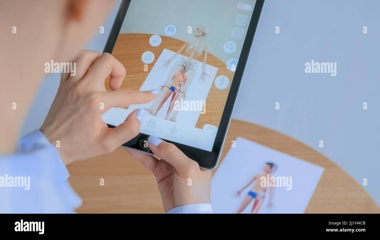 Woman using tablet with augmented reality app: 3d model of human body ...