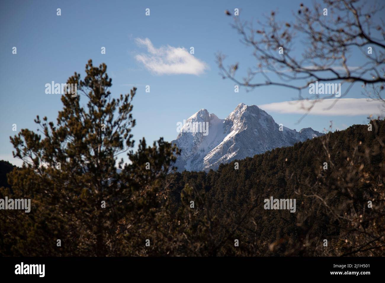 Landscape showing some trees in the foreground a snowy mountain called ...