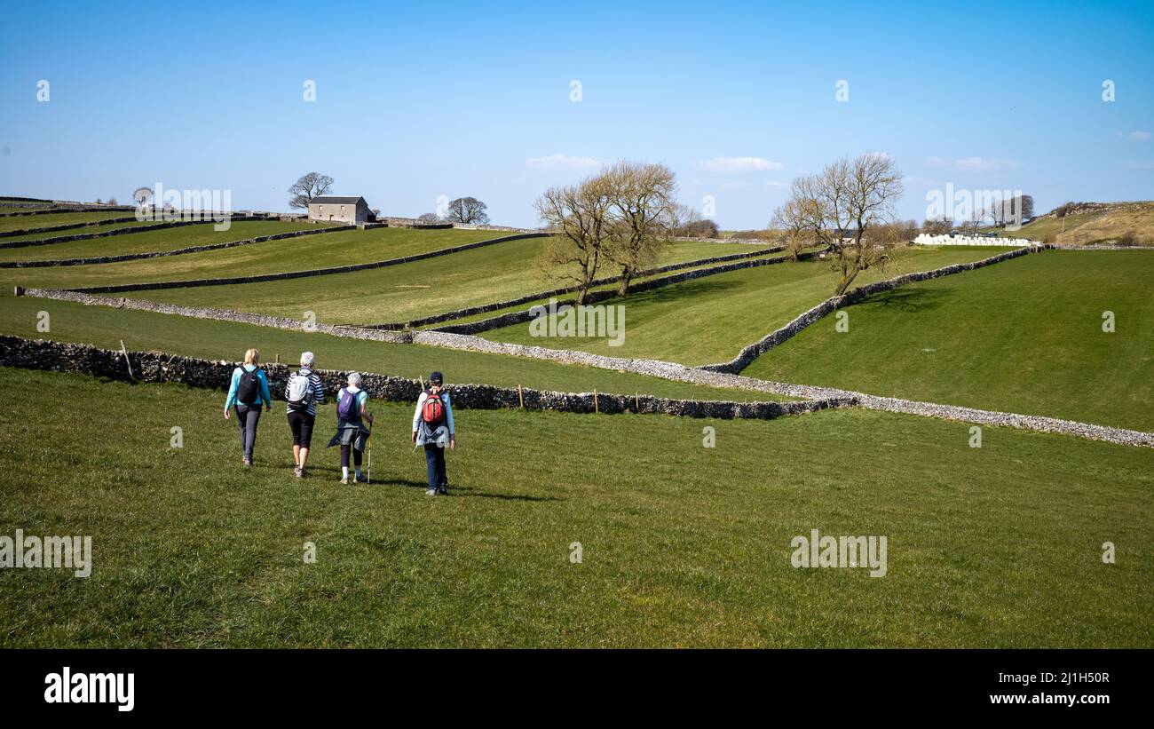 Four middle-aged woman walk across a field enclosed by dry stone walls ...