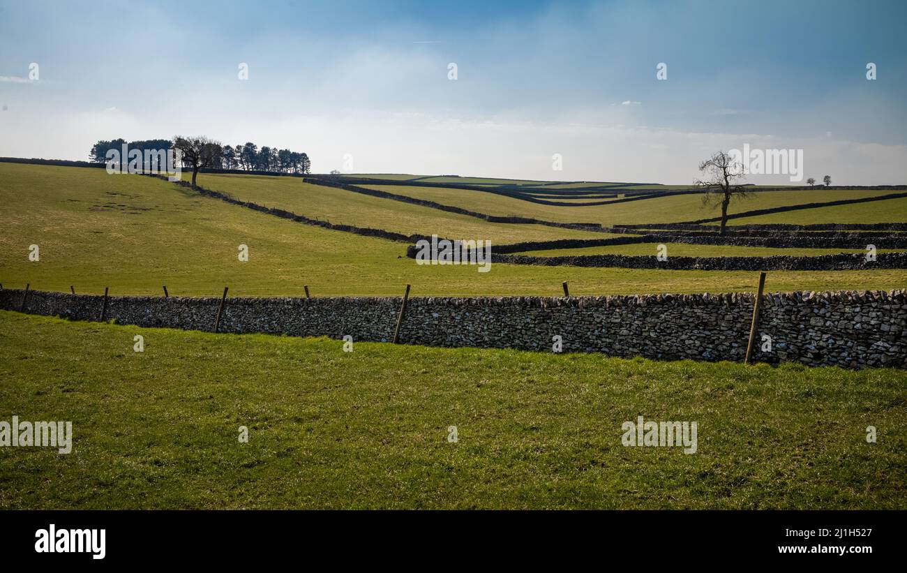 Fields enclosed by ancient dry stone walls near the village of Litton ...