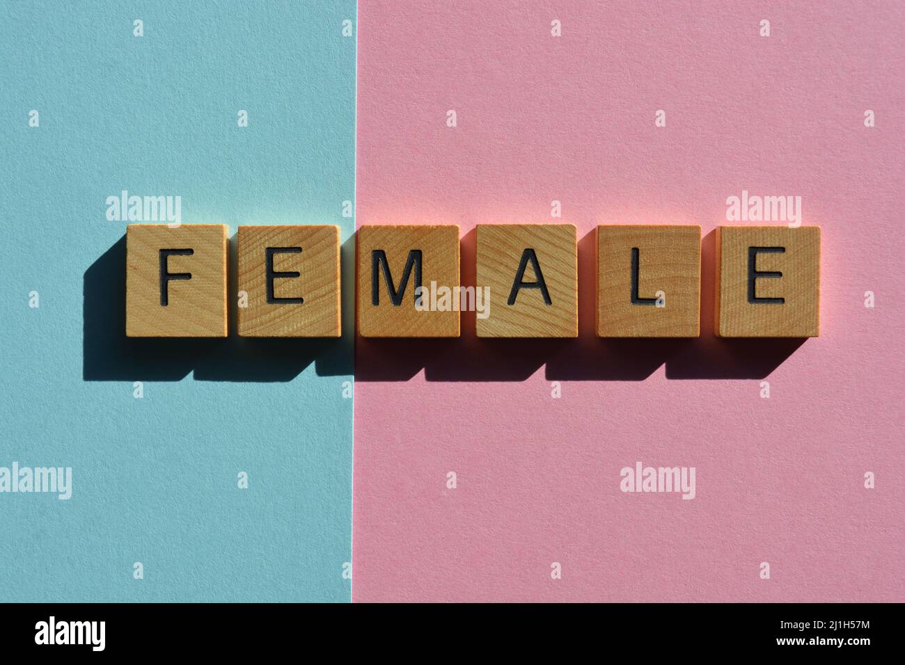 Female, Male, word in wooden alphabet letters isolated on pink and blue ...