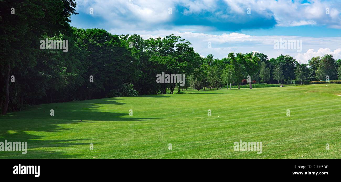 landscape design with hilly meadow covered with green turf grass at ...