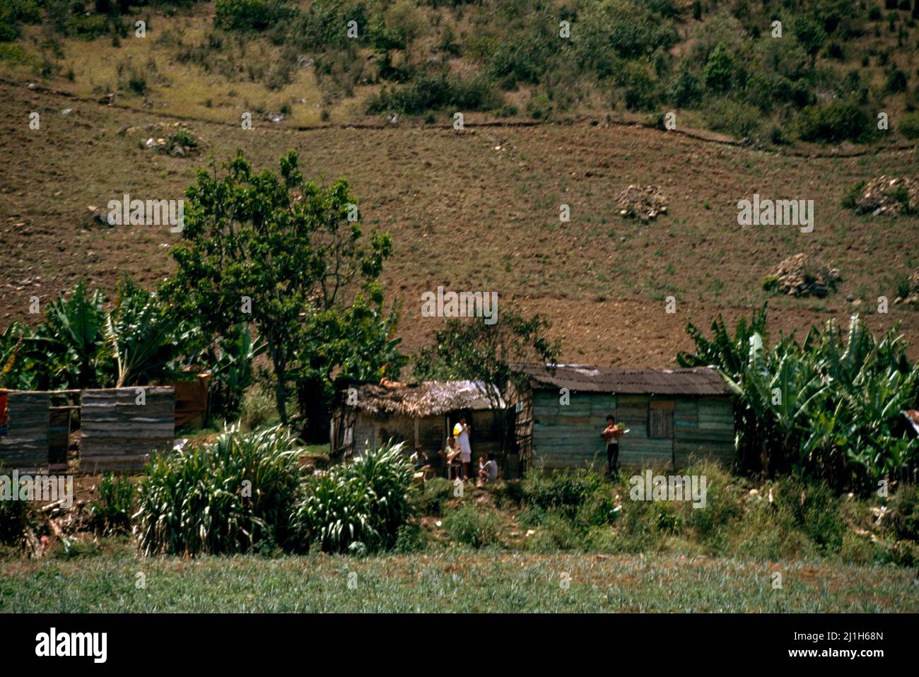 Dominican Republic Sosua To Santo Domingo Farm Stock Photo - Alamy