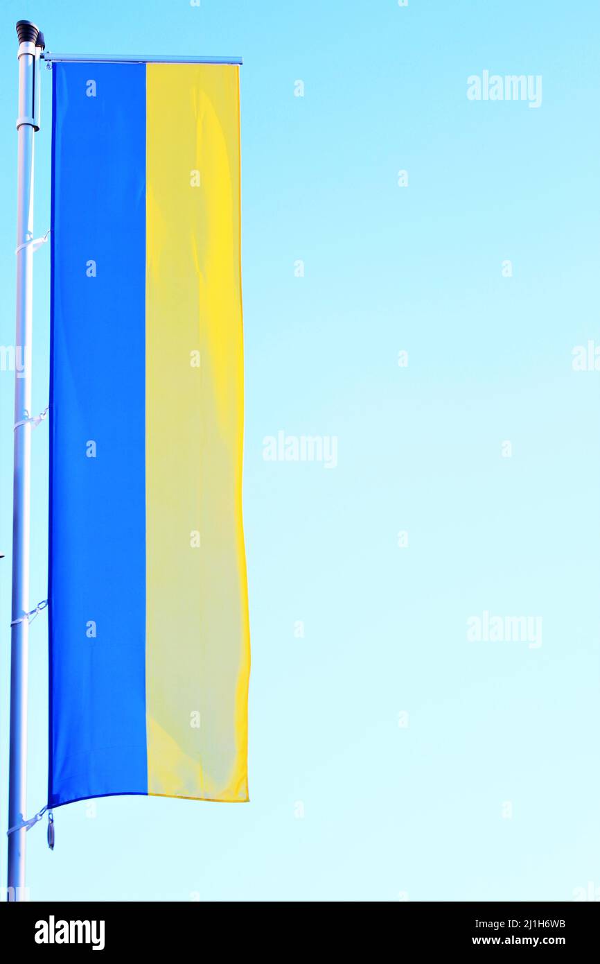 Flag of ukraine as a banner flying vertically against a clear blue sky ...