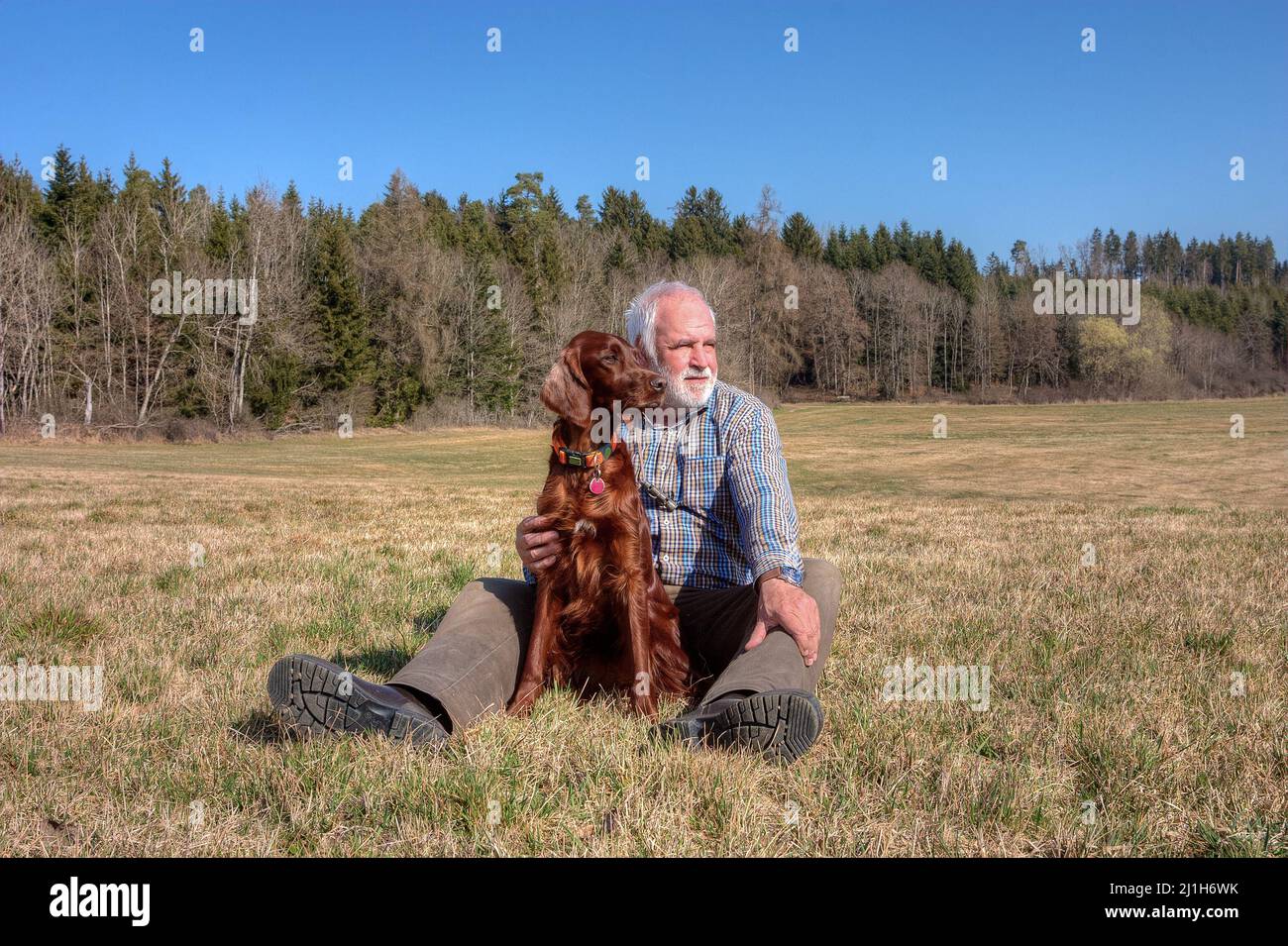 A man is sitting in a meadow. His Irish Setter dog is sitting between ...