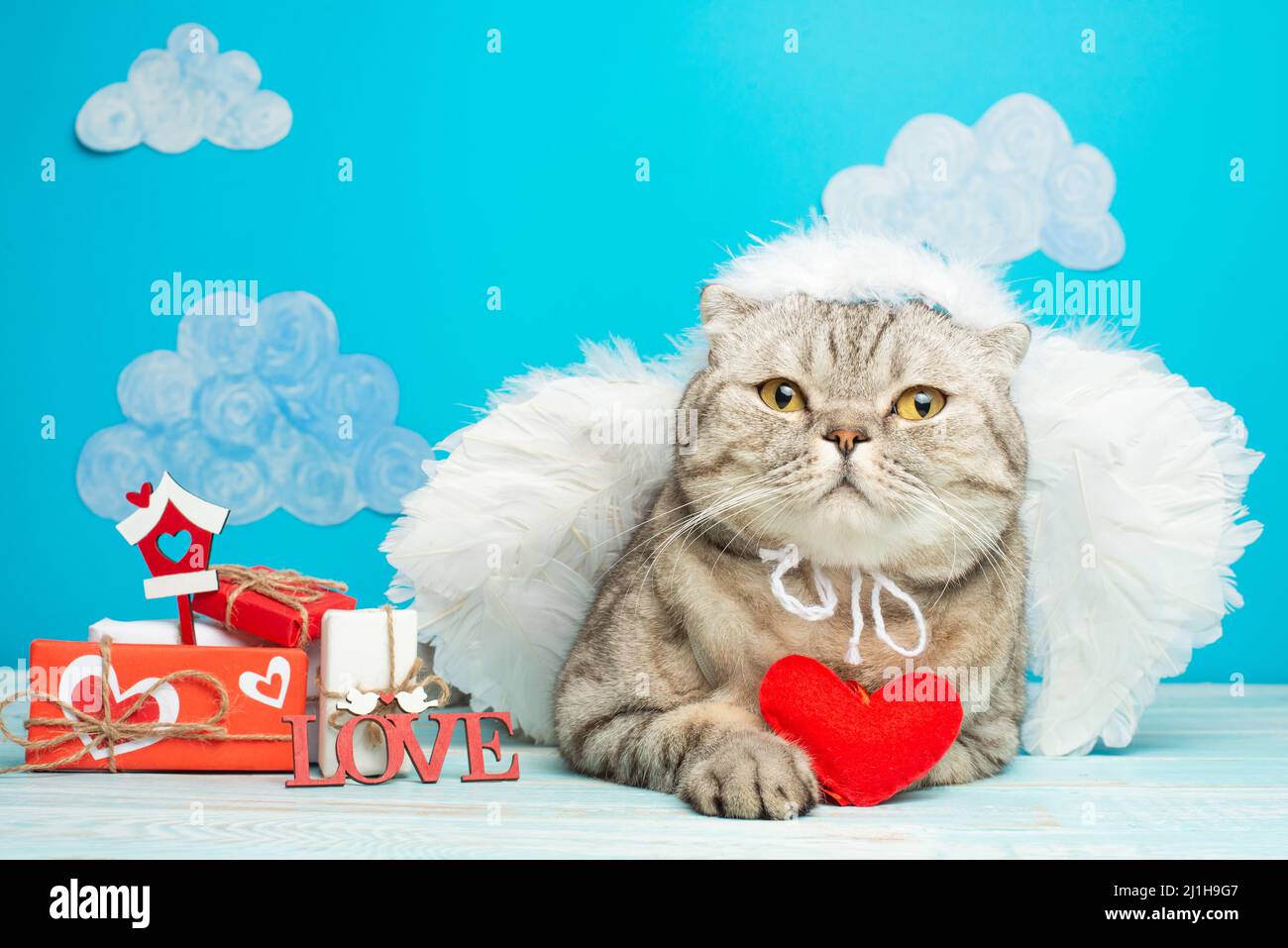 Cute angel cat, with a red heart in its paws, with gifts for Valentine ...