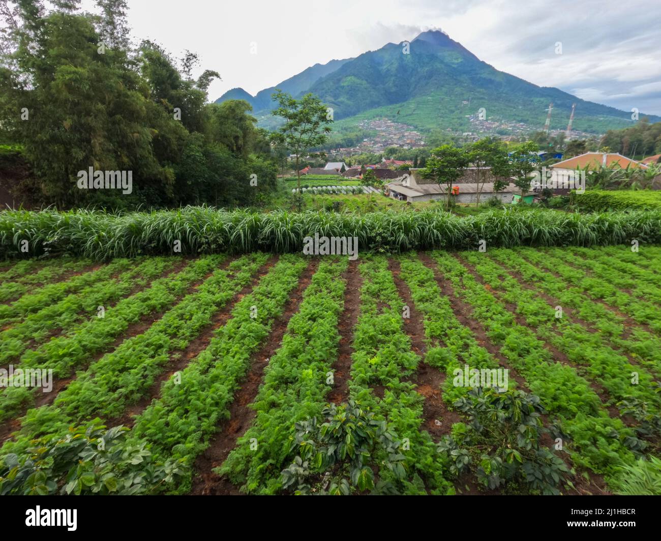 The appearance of Mount Merapi Boyolali, Central Java seen from the ...