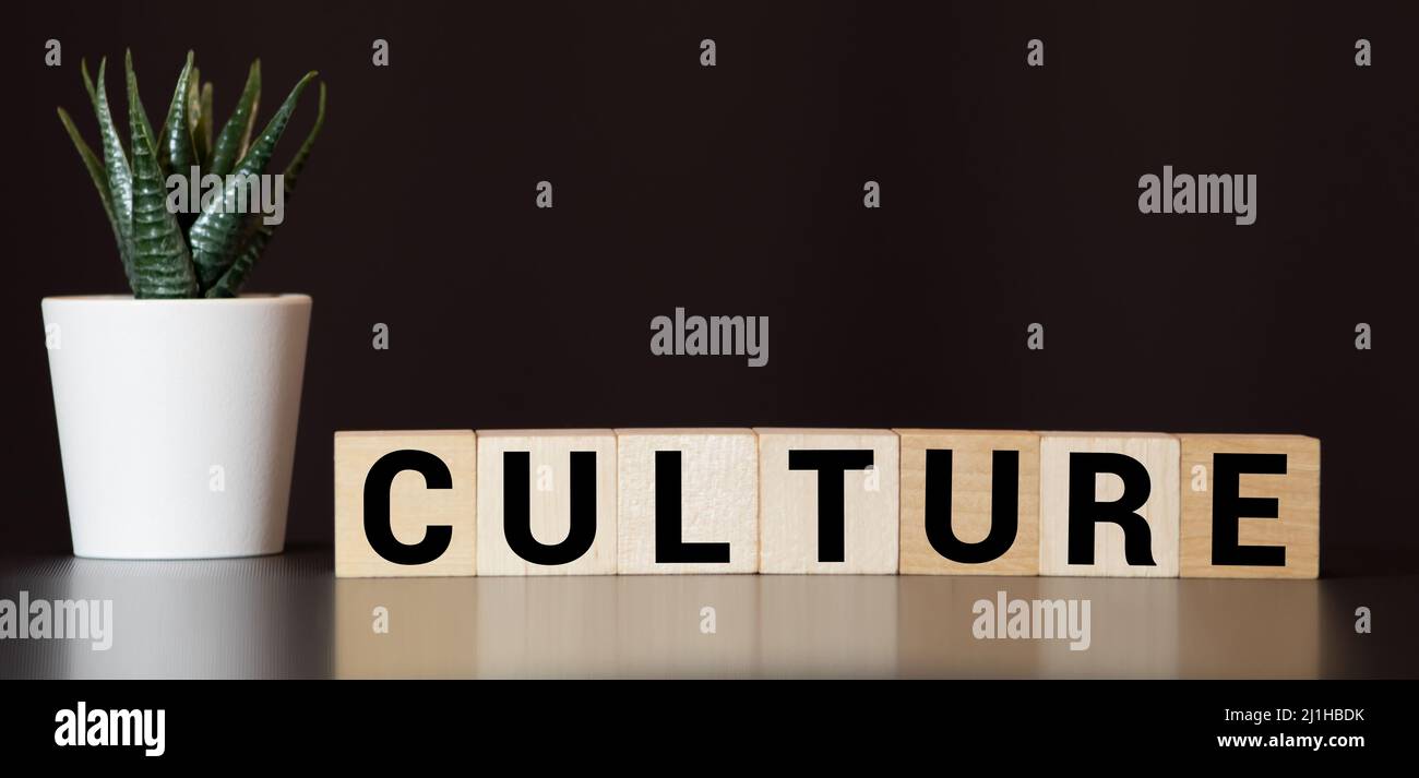 CULTURE word made with building blocks isolated on white Stock Photo ...