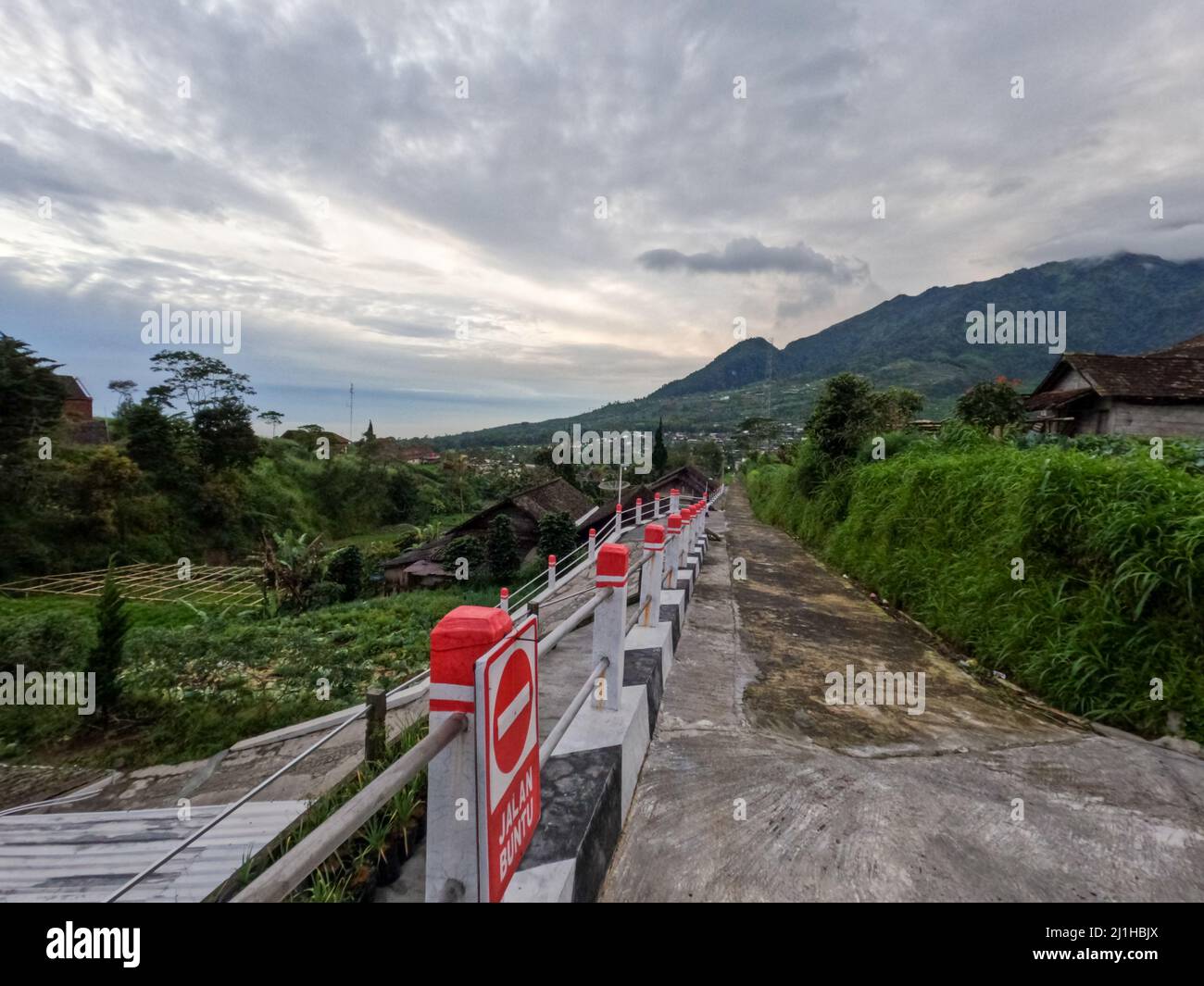 View of a narrow road in the countryside with green surroundings with ...