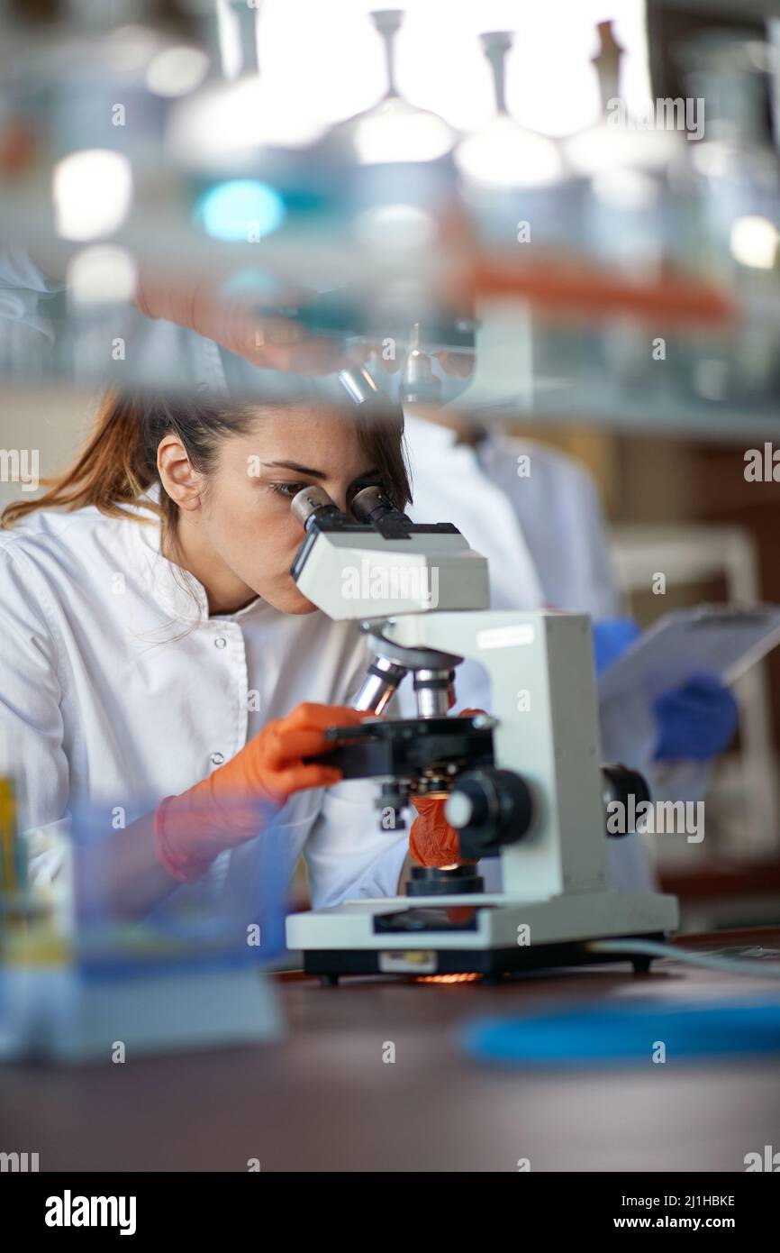 A young female student working with a microscope in a sterile ...