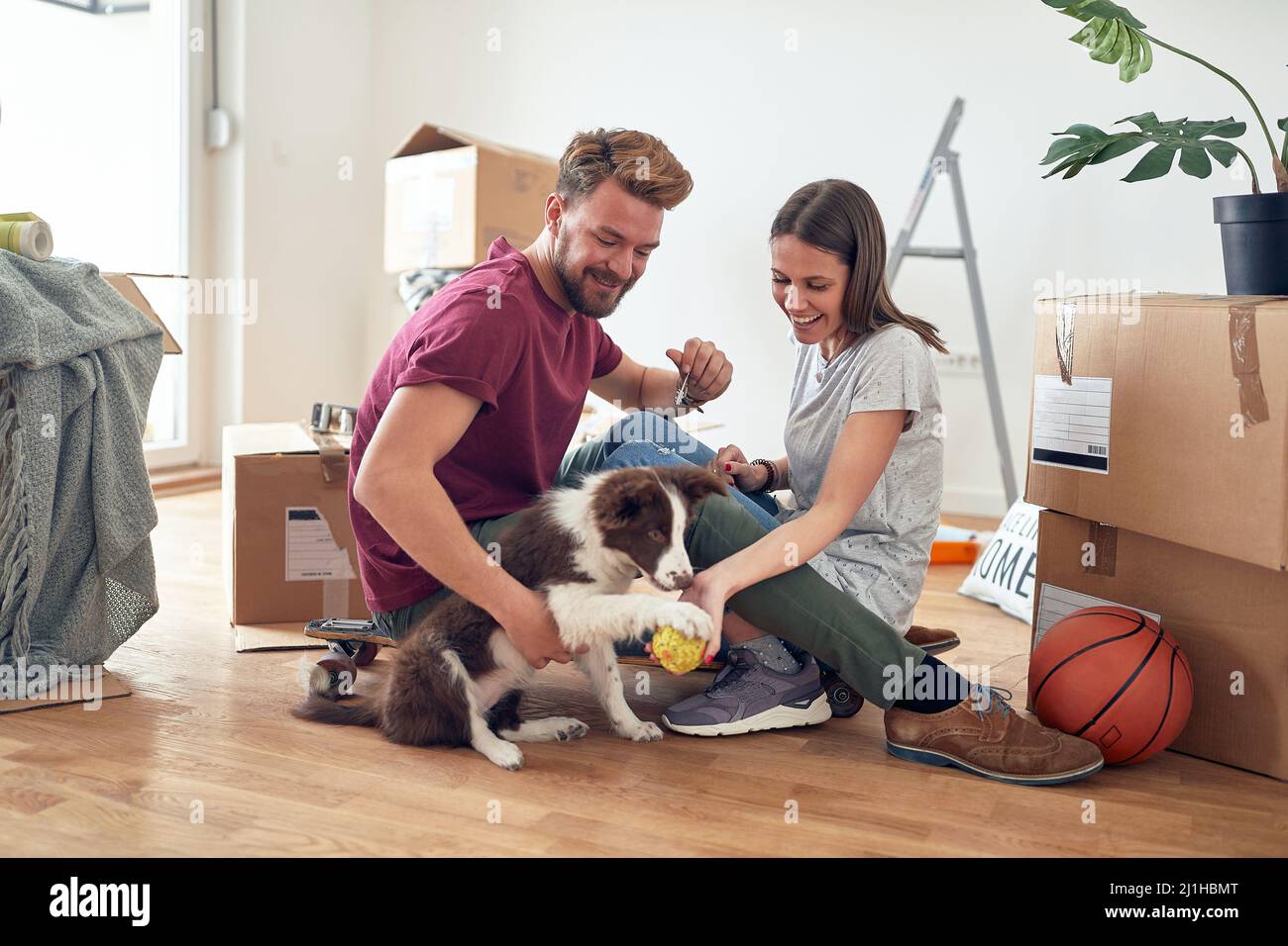 cute young caucasian couple playing with their dog in new apartment ...