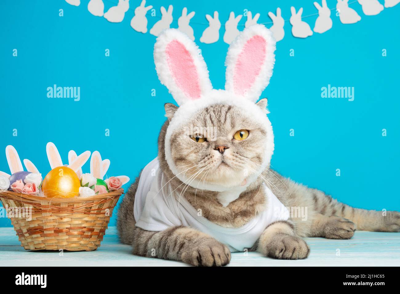 Funny Easter Bunny