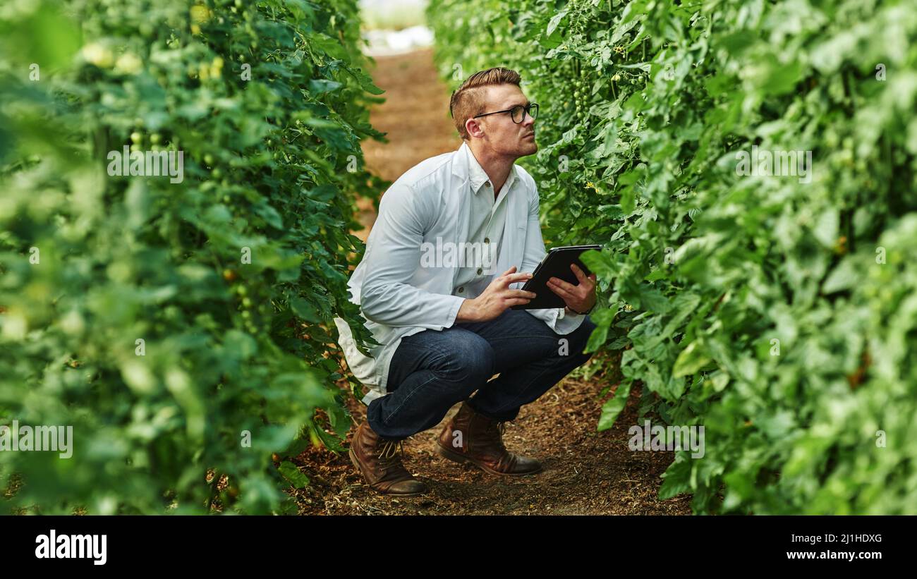 Field scientist studying plants hi-res stock photography and images - Alamy