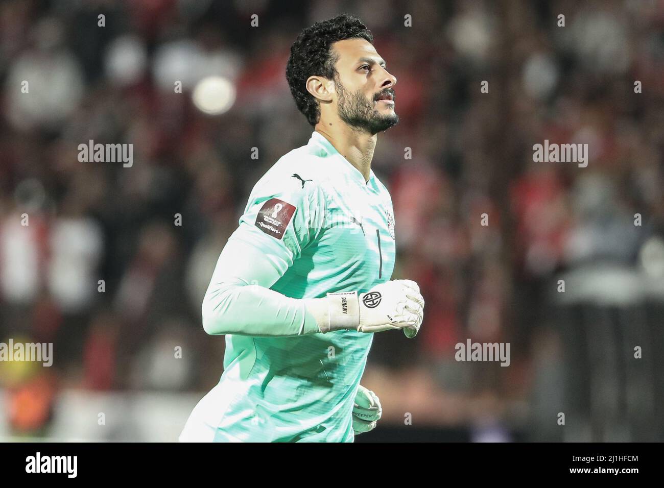 Mohammed el shenawy hi-res stock photography and images - Alamy