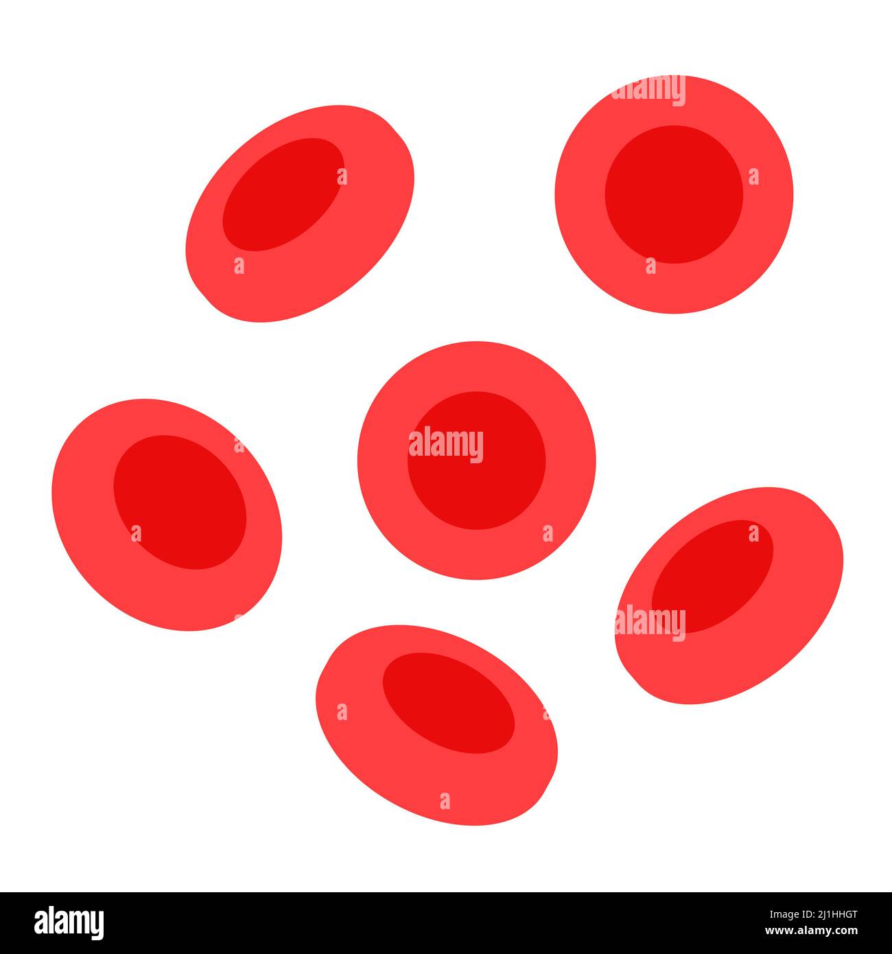 Blood vessel diagram hi-res stock photography and images - Alamy
