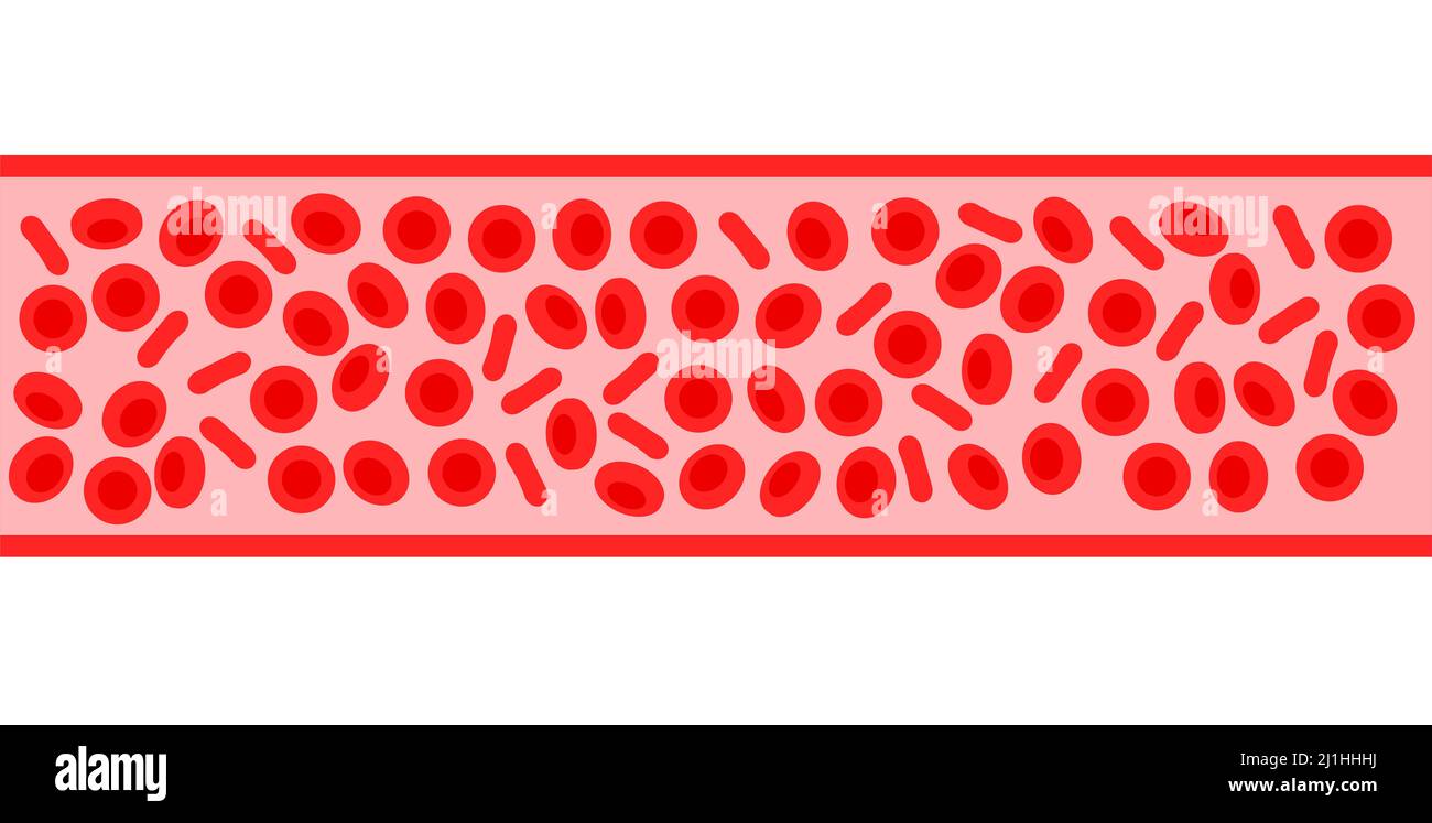 Hematocrit structure hi-res stock photography and images - Alamy